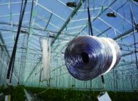 China UV Treated Tomato Tying Twine Hanging Twisted 2.5g/m Split Film Polypropylene for sale