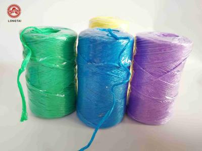China 3KG-5KG Agriculture Polypropylene Tomato Twine 1.5MM-3MM Banana Baler for sale