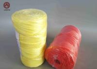 China Split Film PP Tomato Trellis Twine For Greenhouse for sale