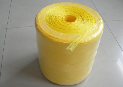 China Eggplant Greenhouse Horticulture Vegetable Fruit Plastic PP Twine Rope UV Treated for sale