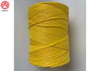 China 2ply 3ply 2mm 3mm 4mm Twisted Polypropylene Twine Agriculture Rope For Baler Tying for sale