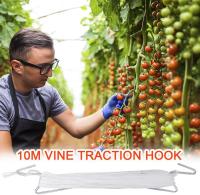 China 0.75-1.5g/M Twisted Virgin PP Raffia Tomato Tying Twine Vineyard UV Treated Fibrillated for sale