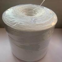 China Pp Raffia / Musk Melon Agricultural Baler Twine for Garden usage for sale