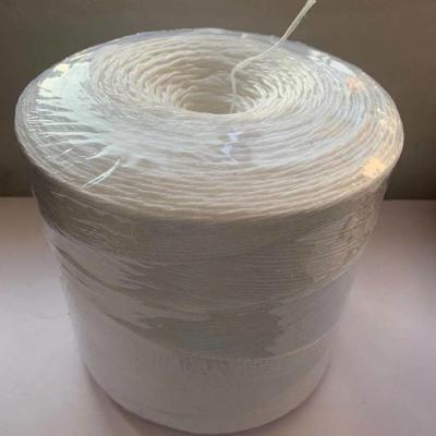 China Pp Raffia / Musk Melon Agricultural Baler Twine for Garden usage for sale
