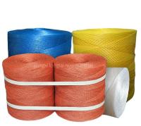 China High Breaking Strength Agricultural Pp Hay Packaging Baler Twine For Transport for sale