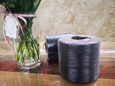 China 3Pounds Tomato Tying Twine Agricultue Garden Pepper Pp Twine Black Color for sale