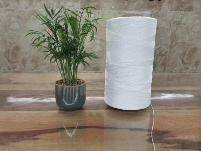 China Beige Kitchen PP String 1mm Bakers Twine 2 Ply Sausage String Rope Cord Wrapping for sale