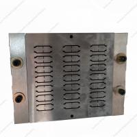 China Plastic Extrusion Mould Used in Extruder Machine for Thermal Break Strips for sale