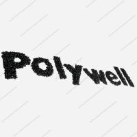 China Polyamide Glass Fiber PA66 With Glass Fiber 25% for Extruding Thermal Break Profiles for sale