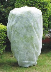 China 100% polypropylene spunbond non woven agricultural fabric,protective film for sale