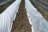 China permeable agriculture non woven fabric for sale
