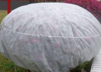 China Durable Non Woven Garden Weed Control Fabric for Plant Protection / Agriculture Covering for sale