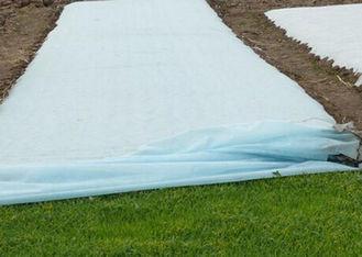 China Eco-friendly Biodegradable Landscape Fabric Nonwoven for Agriculture for sale