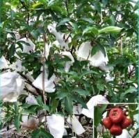 China eco-friendly PET spunbond nonwoven fabric for sale