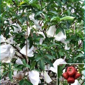 China eco-friendly PET spunbond nonwoven fabric for sale