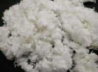 China 2.5D*32MM siliconized raw white hollow conjugated polyester staple fiber for sale