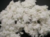 China 1.2D*25MM siliconized raw white polyester staple fiber solid fiber for sale