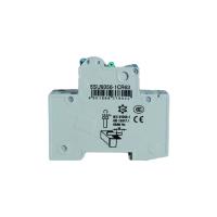 China 5SU9326-1CR63 LS/DI switch 6 kA 2P type AC 30 mA C characteristic for sale
