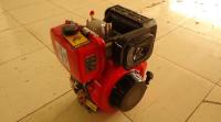China 10HP Industrial Diesel Engines Air Cooled Single Cylinder 186F For Agriculture Machinery for sale