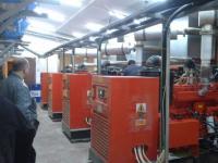 China 4 Stroke 30kw Natural Gas Generators With Leroy Somer Alternator for sale