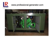 China 60kva LPG Genset 3 Phase 4 Line Company With 8.6L Displacement for sale