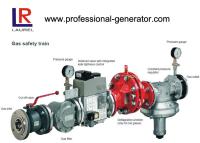 China US Googol 1000kva 800kw Natural Gas Generators 1200rpm Remote Radiator Electrical Motor for sale