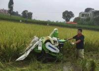 China 10HP Mini Combine Rice Agriculture Harvester with 178F Diesel Engine , Gear Drive Type for sale
