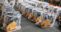 China Road Construction Gasoline Vibrating Plate Compactor with Hydraulic Control for sale