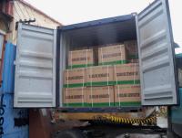China 7kw Portable Gasoline Power Generators with AVR , Overload and Low Oil Warning for sale