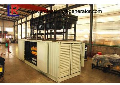 China 50Hz 1000kw Container Generator Set With Electrical Start Motor , 5 ~ 12 kPa Fuel Gas Pressure for sale