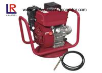 China 168F Engine Portable Gasoline Concrete Vibrator with 1 Cylinder 4 Stroke Forced Air Cooling for sale