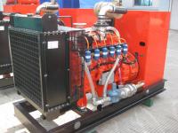 China 37.5kVA 30kw Biogas Natural Gas Generators Set with Water Cooling Noise Attenuation and Ventilation for sale