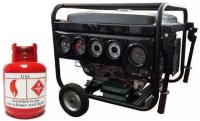 China Liquefied Petroleum Natural Gas Power Generator Economical and Super Silent for sale