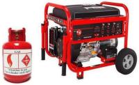 China High Performance Portable Natural Gas Electricity Generator for Home Use for sale
