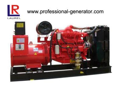 China ISO9001 250KVA Natural Gas Electricity Generator with AC Three Phase Doosan Engine for sale