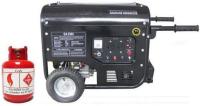 China 170F Engine Natural Gas Powered Generator Max Power 3kW Biogas Single / Three Phase for sale