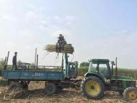 China Electric Grapple Agriculture 16MPa 65kw Flexiable Wheel Excavator for sale