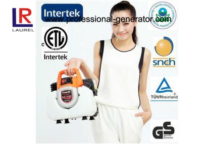 China Super Silent 1kw Inverter Gasoline Generators with Single Cylinder 2 Stroke for sale