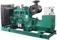 China 1000kVA 800kw Diesel Cummins Power Generator With Multiple Paralleling Turbo Charged for sale