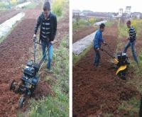 China 7HP Mini Rotary Power Tractor Tillers and Cultivators Recoil Start / Belt Driving for sale
