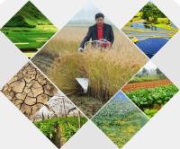 China FleGear Drive 5.15kw 8HP Agriculture Harvester Reaper / Rice Harvesting Machine for sale