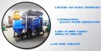 China Water Cooled 100kw Biogas Generator with CE , Electric Control Ignition  V Type for sale