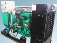 China Electric Small 50kw Wood Gas Power Plant Natural Gas Generators 3 Phase Powered by New Energy for sale
