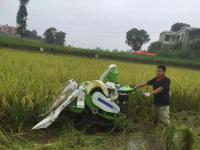 China Recoil star 10HP Mini Combine Rice Harvester with 178F Diesel Engine for sale