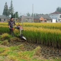 China 8HP 5KW Wheat Reaper Binder Harvester with water cooling diesel engine for sale
