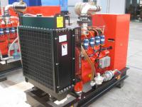 China 50Hz 120kw water-cooled 200v Gas Generator Set with 4-stroke water cooling Engine for sale