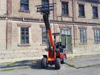 China 2051mm 0.3cbm Telescopic Boom 900kg Mini Wheel Loader for sale