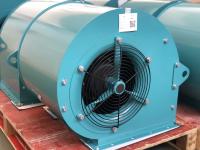 China Single Phase 4 Pole Forward Centrifugal Fan With 250mm Blade for sale