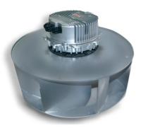 China EC Centrifugal Fan 175mm External Rotor Motor Cooling Ventilation Fan 220V 50Hz for sale