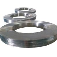 China Cold Rolled Ss  AISI 304 316 309s 310s 18mm  Stainless Steel Strips for sale